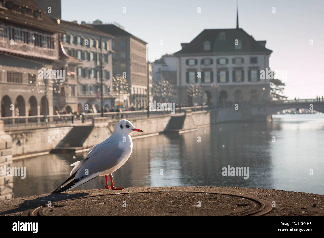 Zurich landscape hi-res stock photography and images - Alamy