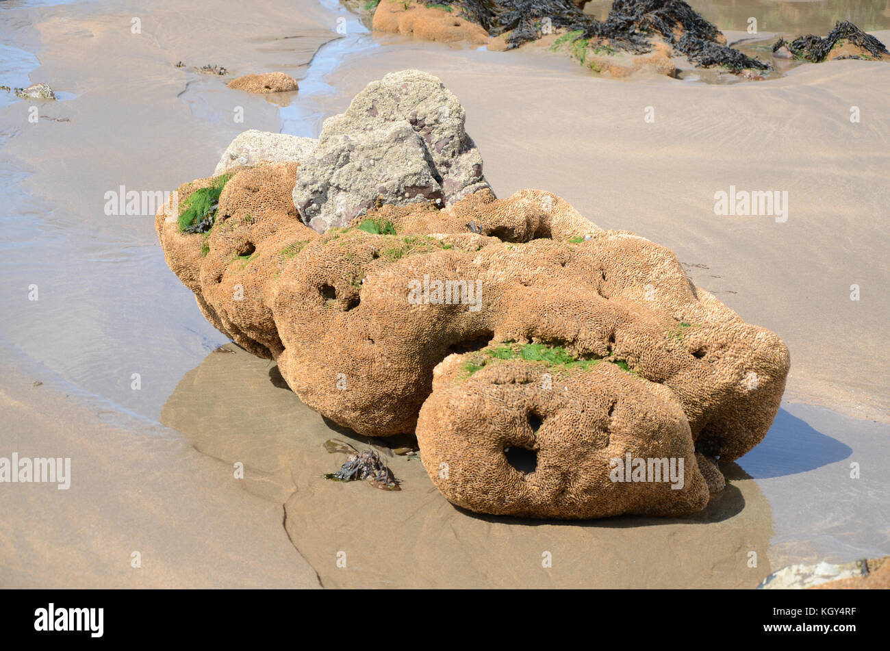 Bude,Coastal Town on the North Devon / Cornwall Border Great Holiday ...