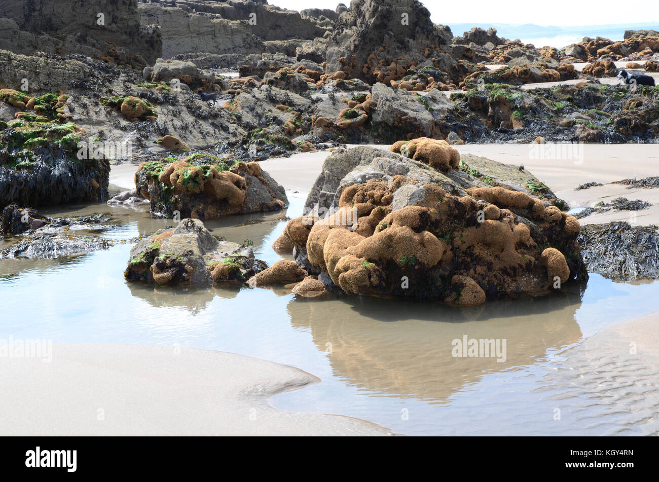 Bude,Coastal Town on the North Devon / Cornwall Border Great Holiday ...