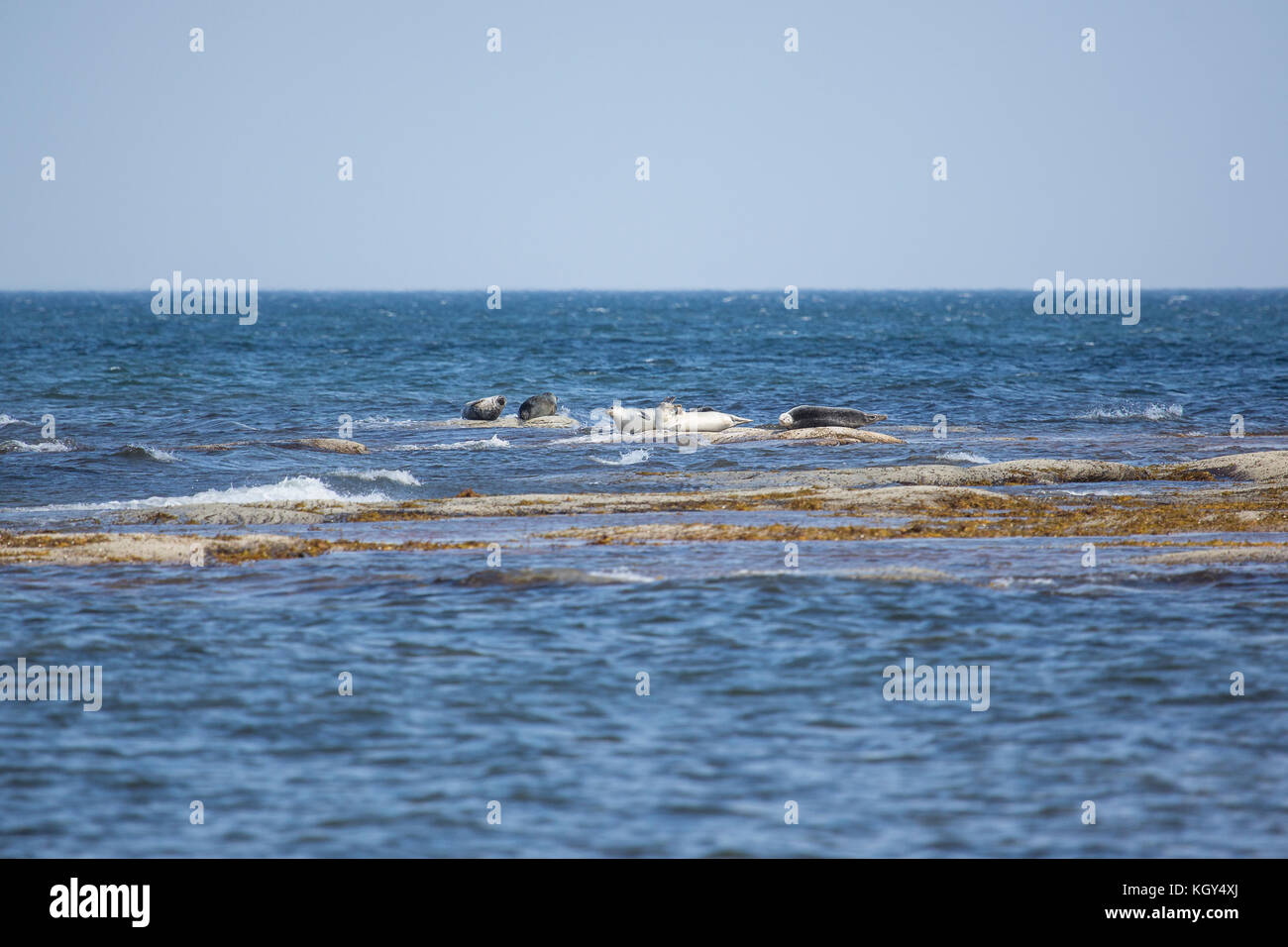 Atlantic ocean bathing hi-res stock photography and images - Alamy