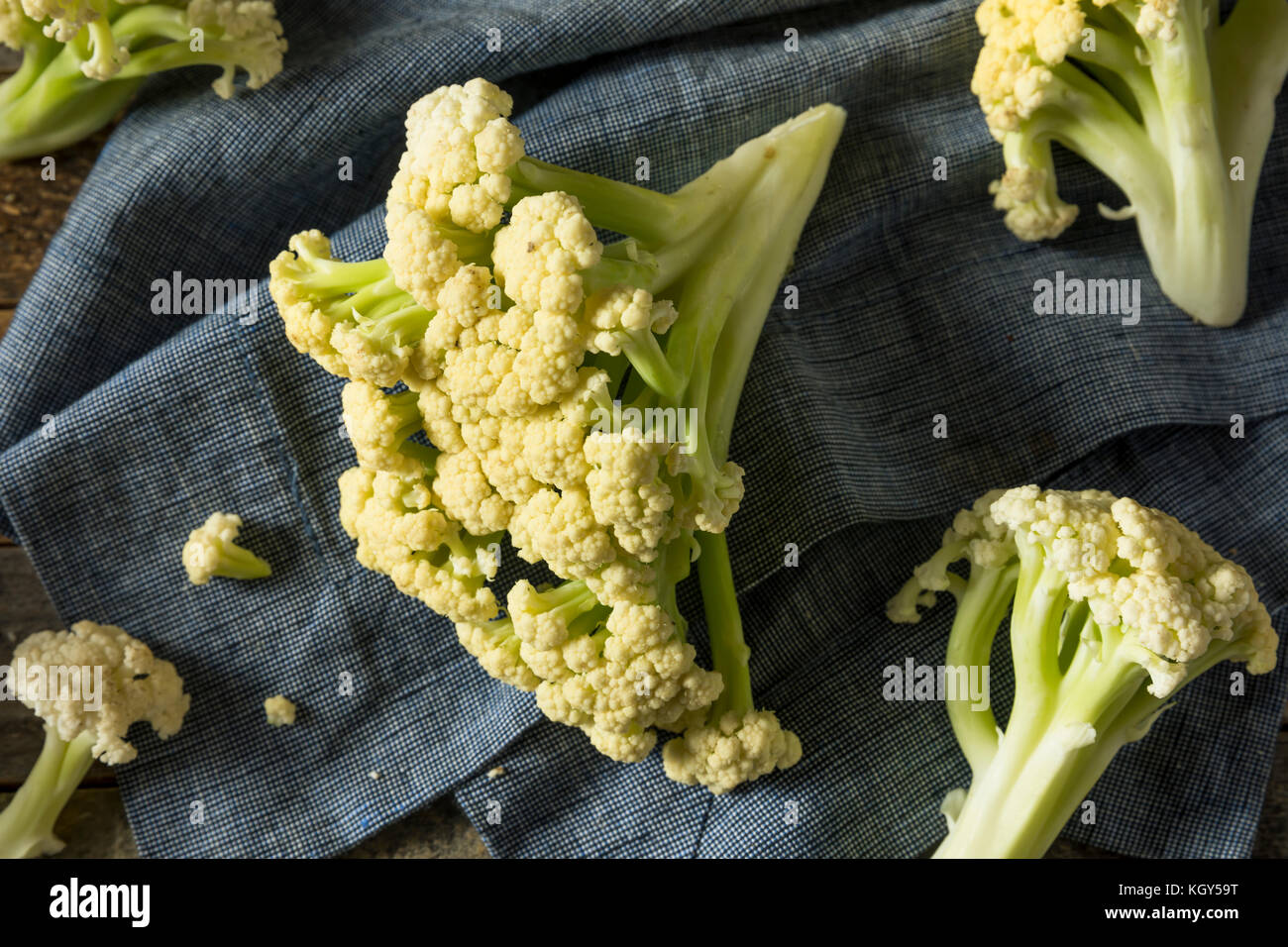 Whole flowering plant hi-res stock photography and images - Alamy