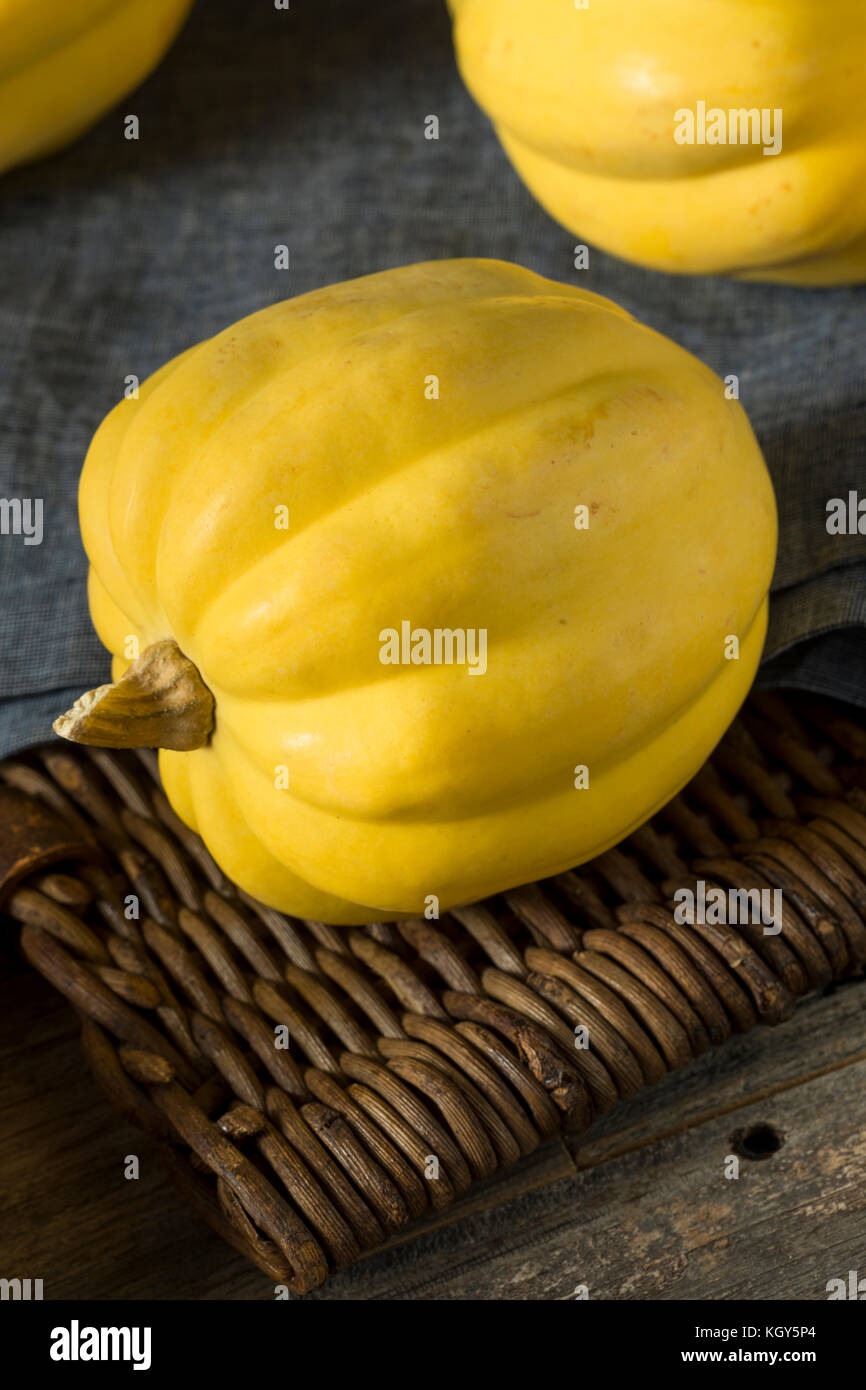 Raw Organic White Yellow Acorn Squash Ready to Cook Stock Photo - Alamy