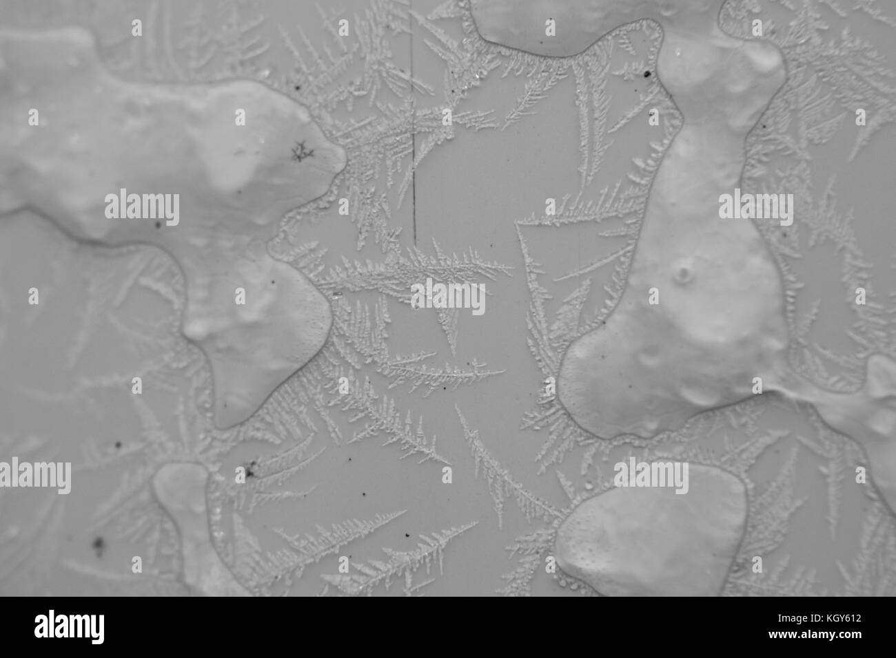 Picture of frost Black and White Stock Photos & Images - Alamy