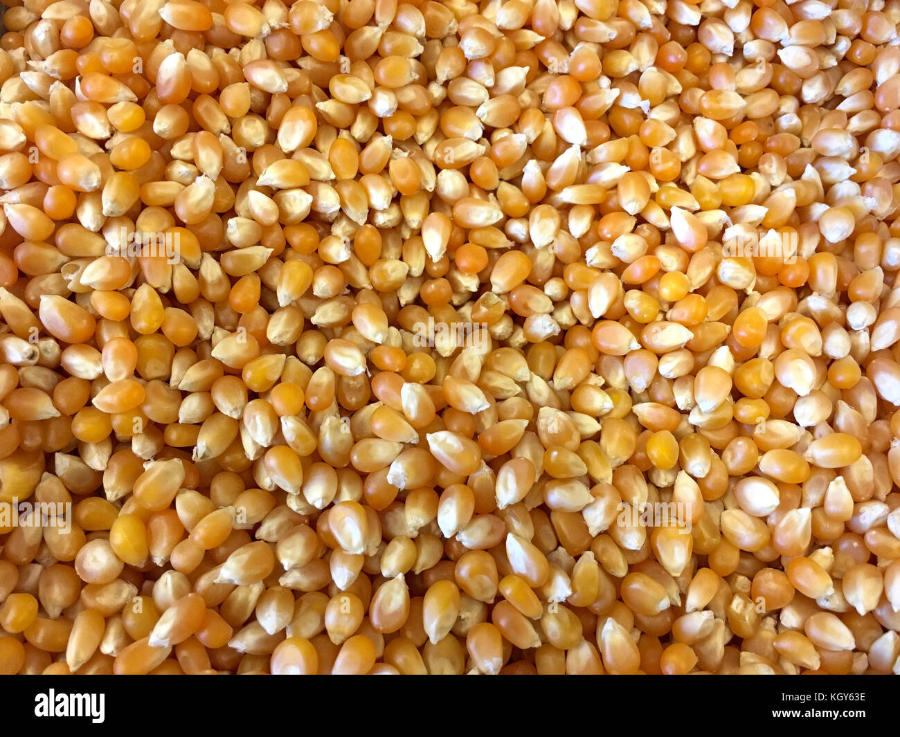 Organic yellow popcorn dry food background Stock Photo - Alamy
