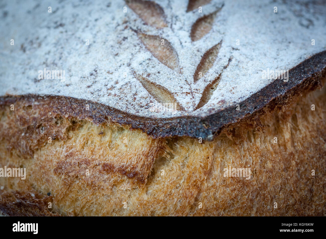 Basic homemade bread hi-res stock photography and images - Alamy