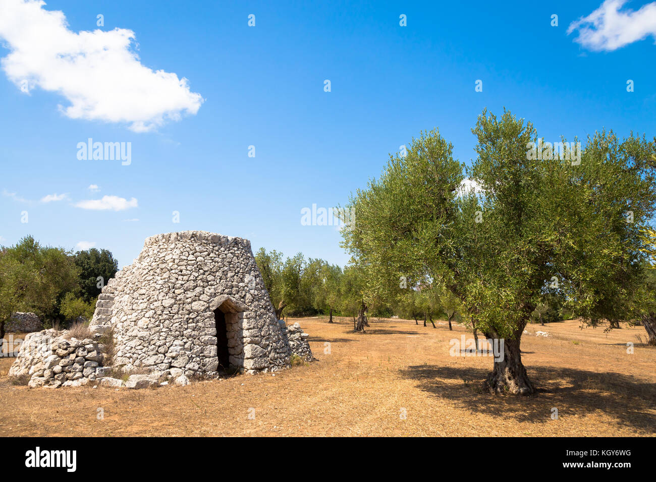 In Salento area, south of Italy, a traditional rural warehouse named ...