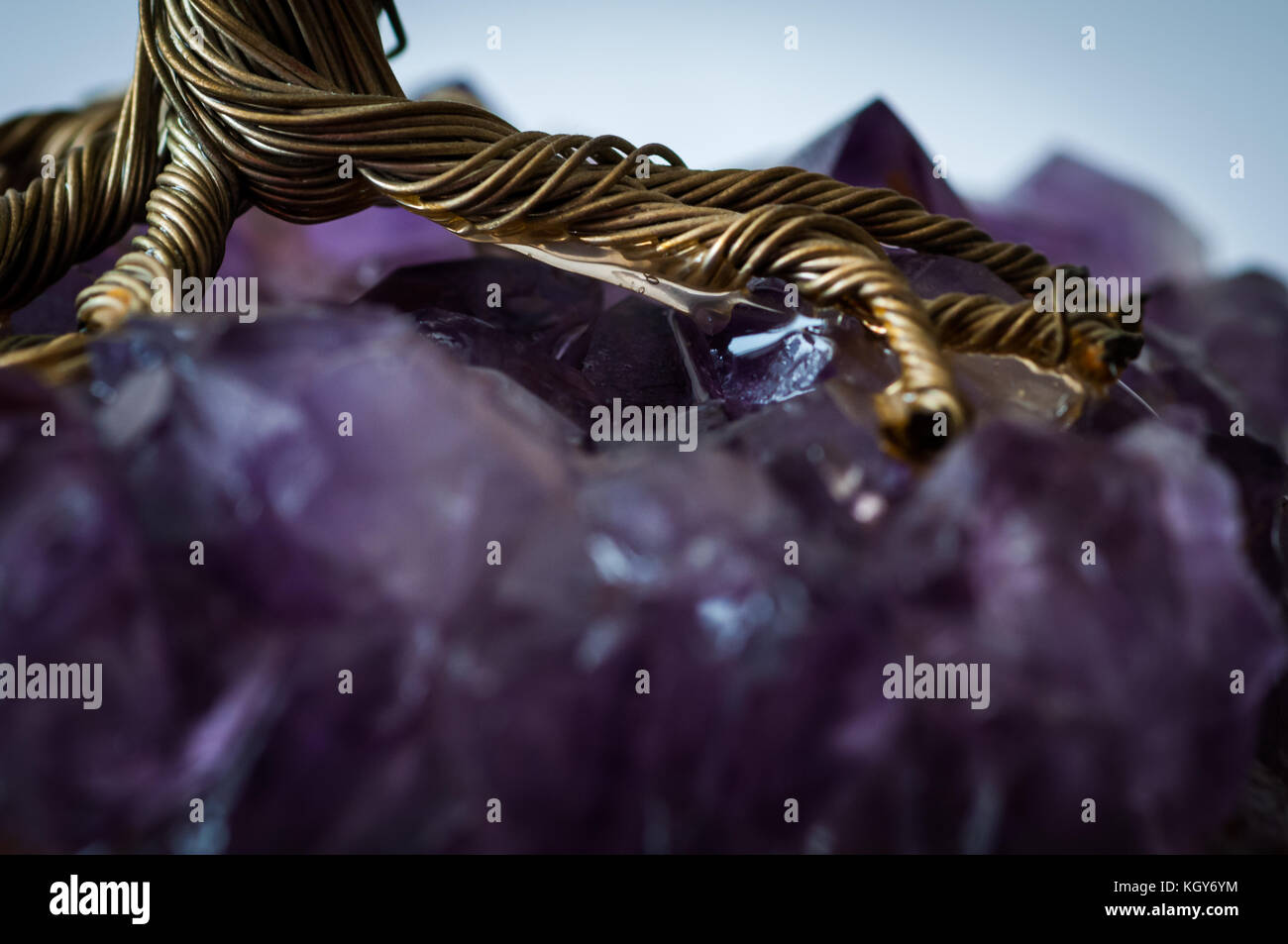 close up of a crystal tree Stock Photo - Alamy