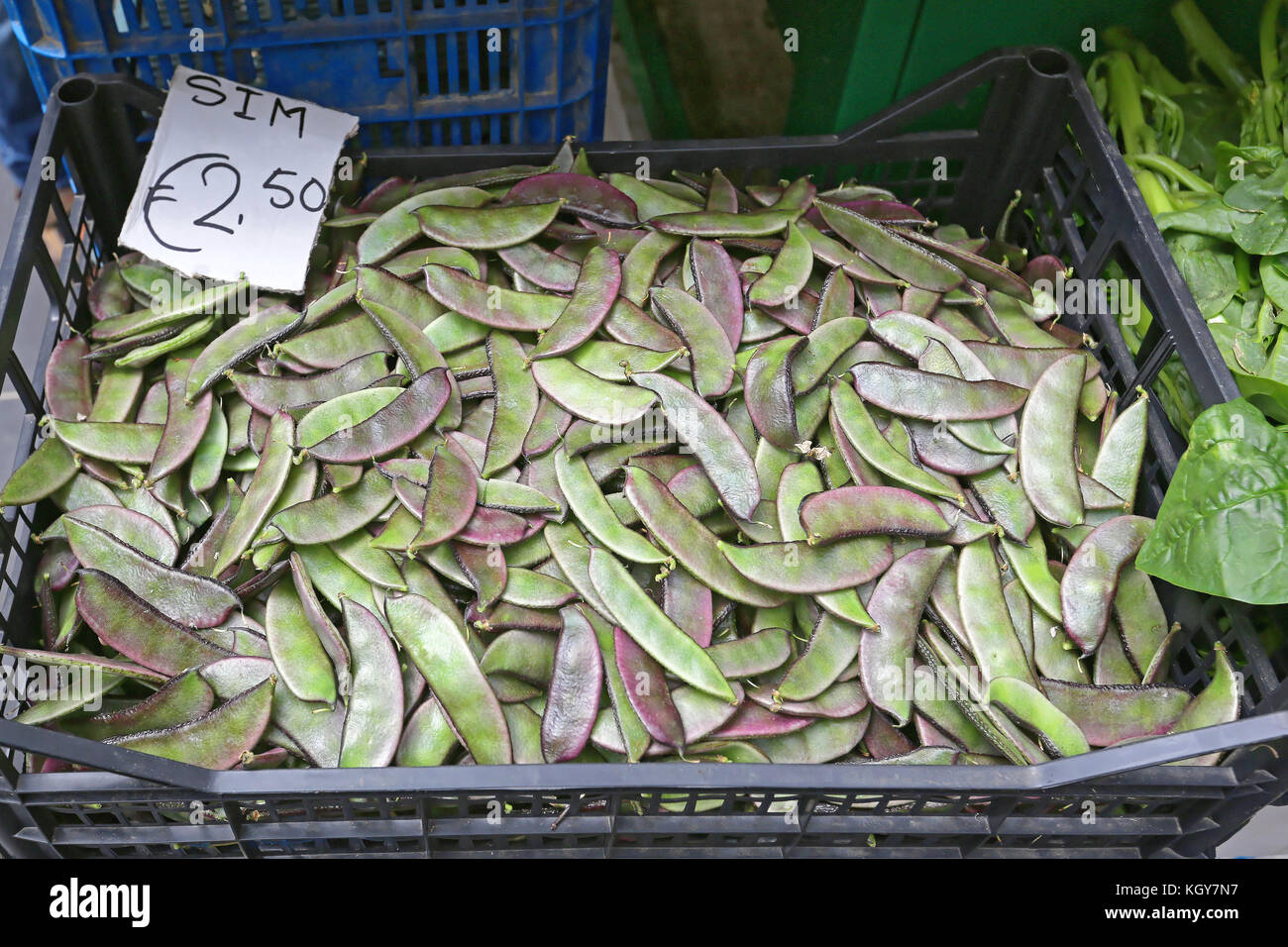 Flat beans hi-res stock photography and images - Alamy