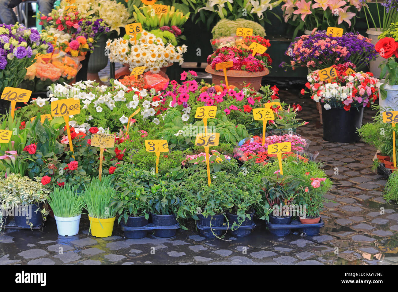 Flower Shop at Street in Rome Italy Stock Photo - Alamy