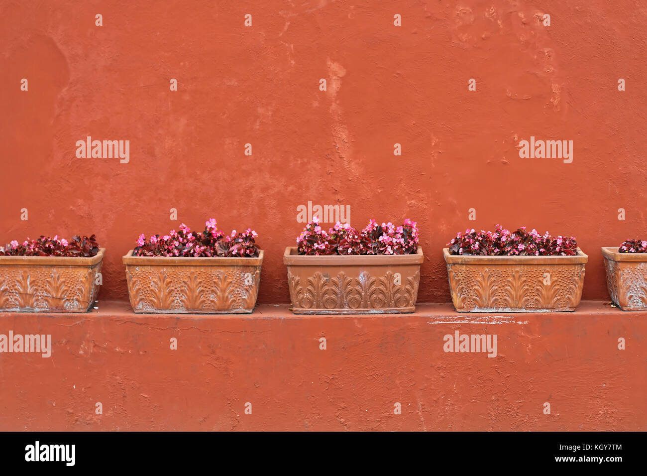 Rectangular Flower Pots at Terracotta House Wall Stock Photo - Alamy