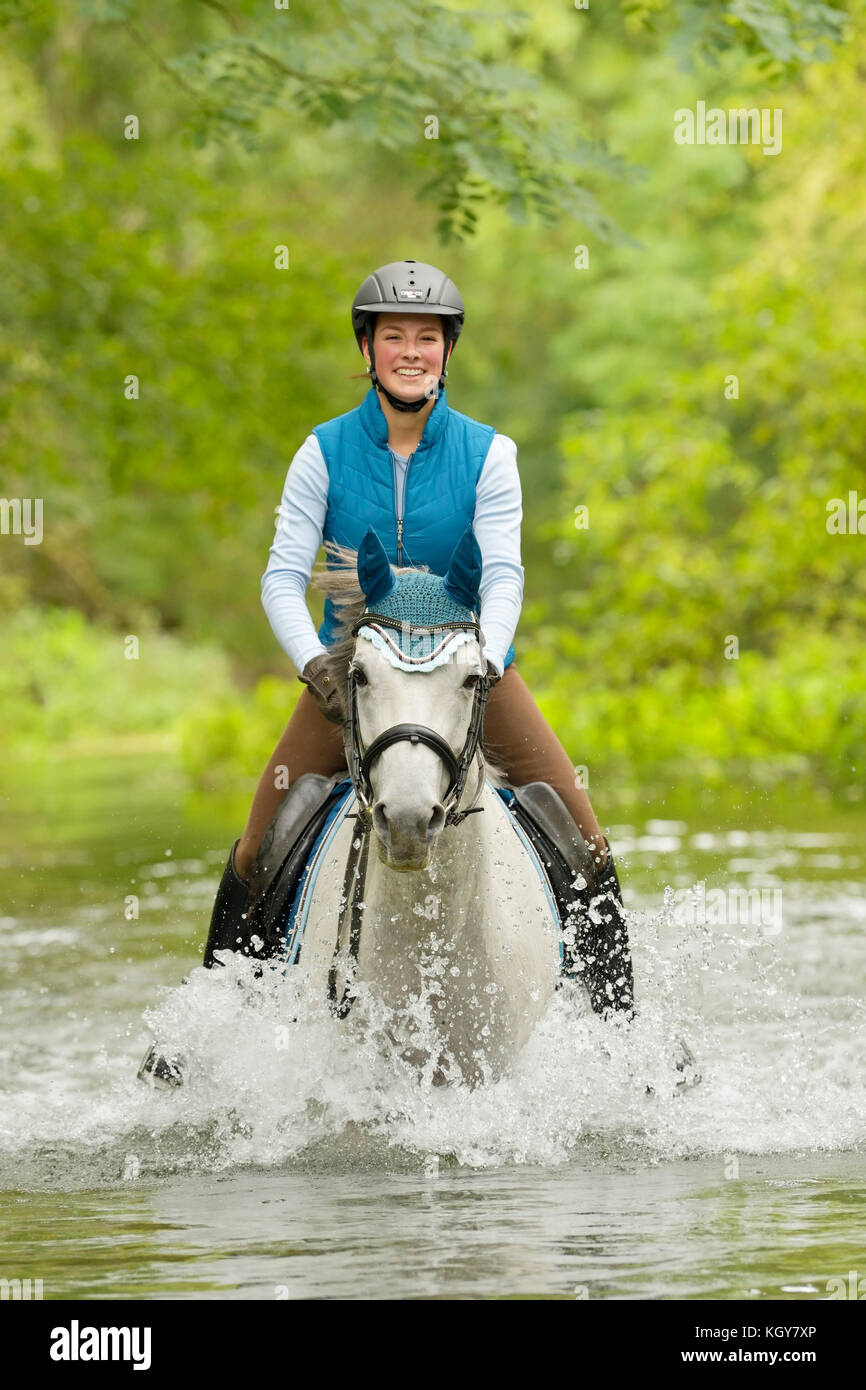 Young rider on back of a German pony riding in a stream Stock Photo - Alamy