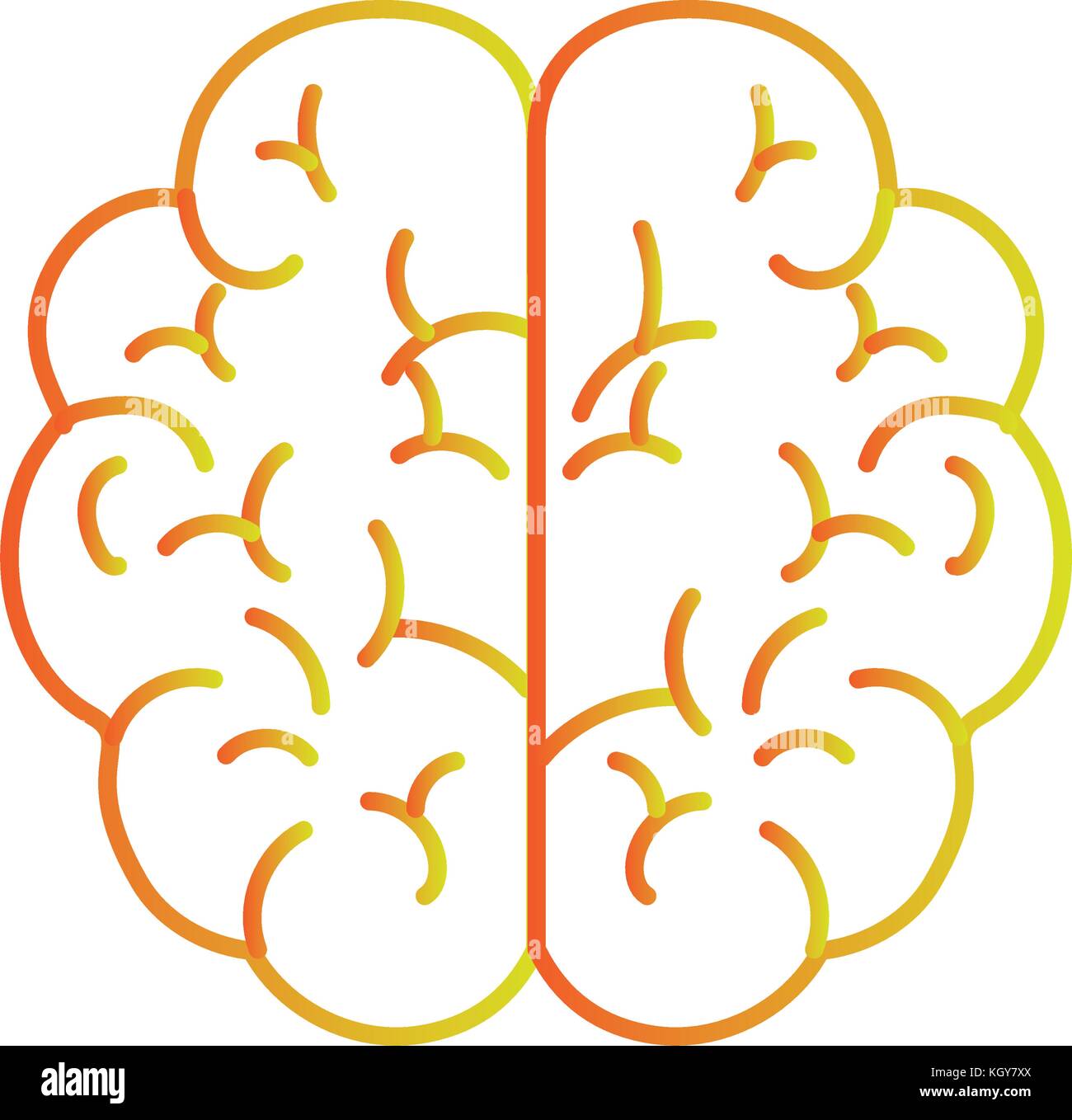 Isolated brain design Stock Vector Image & Art - Alamy
