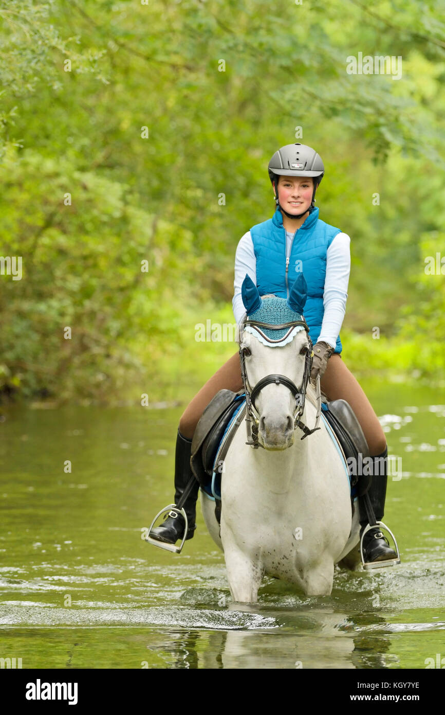 Young rider on back of a German pony riding in a stream Stock Photo - Alamy