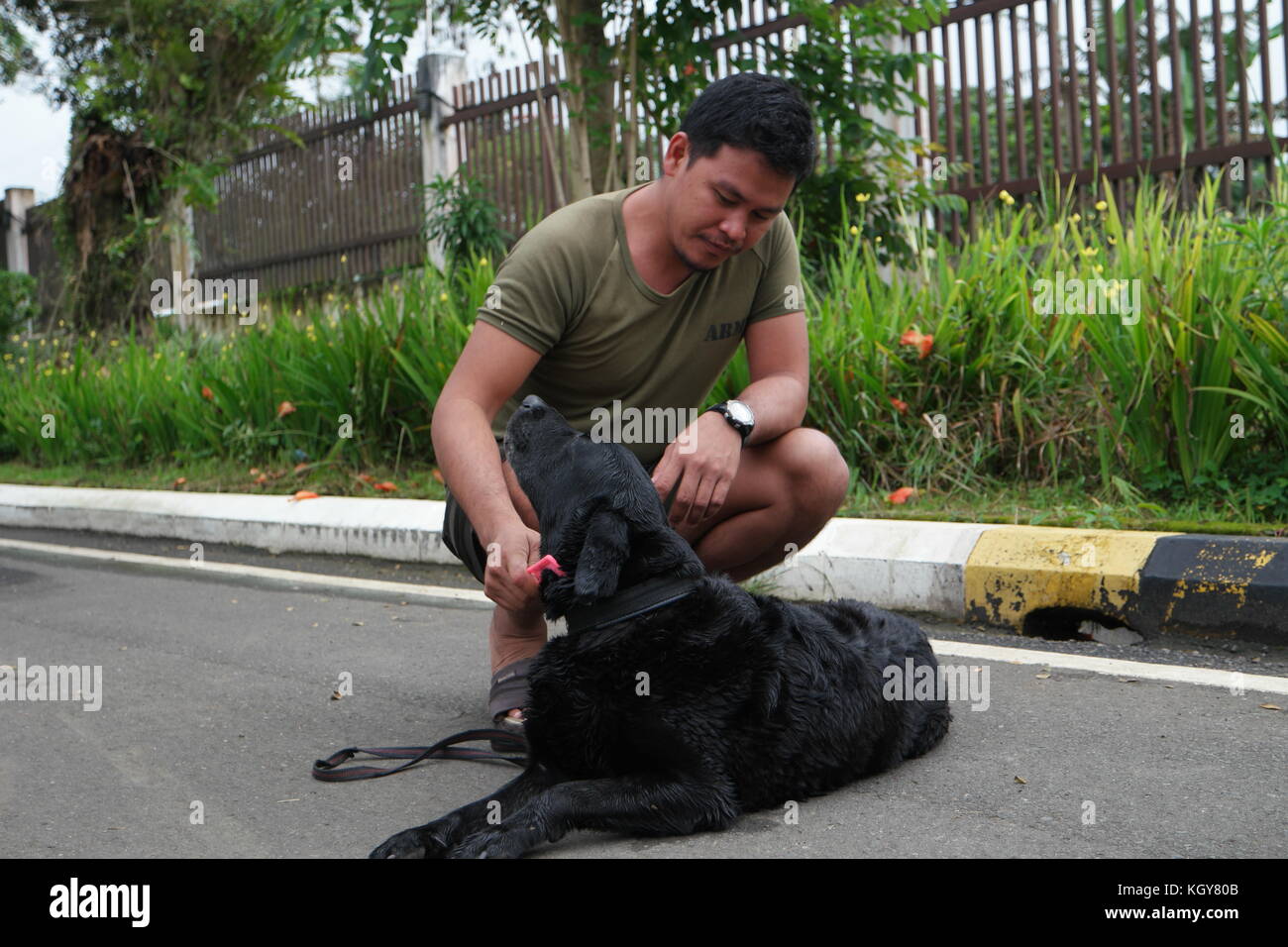 Philippines army dog hi-res stock photography and images - Alamy