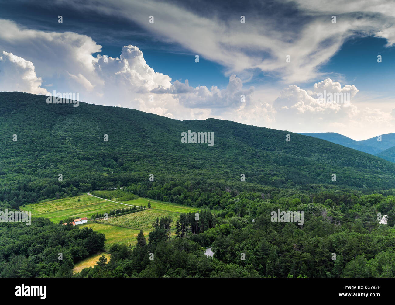 Aerial view countryside forest trees hi-res stock photography and ...