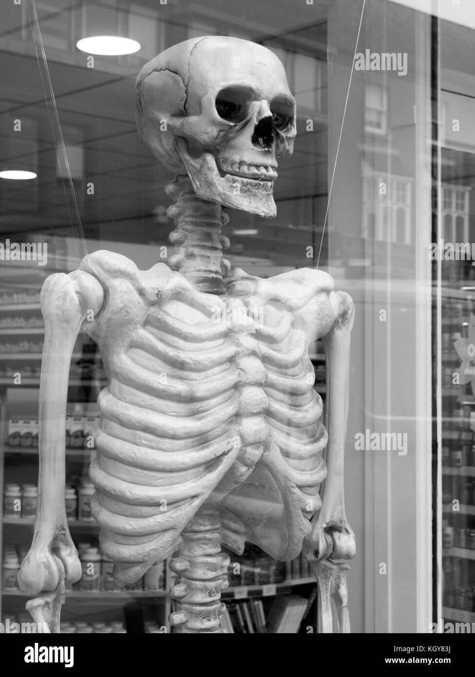 Human skeleton in retail shop window during Halloween celebrations ...