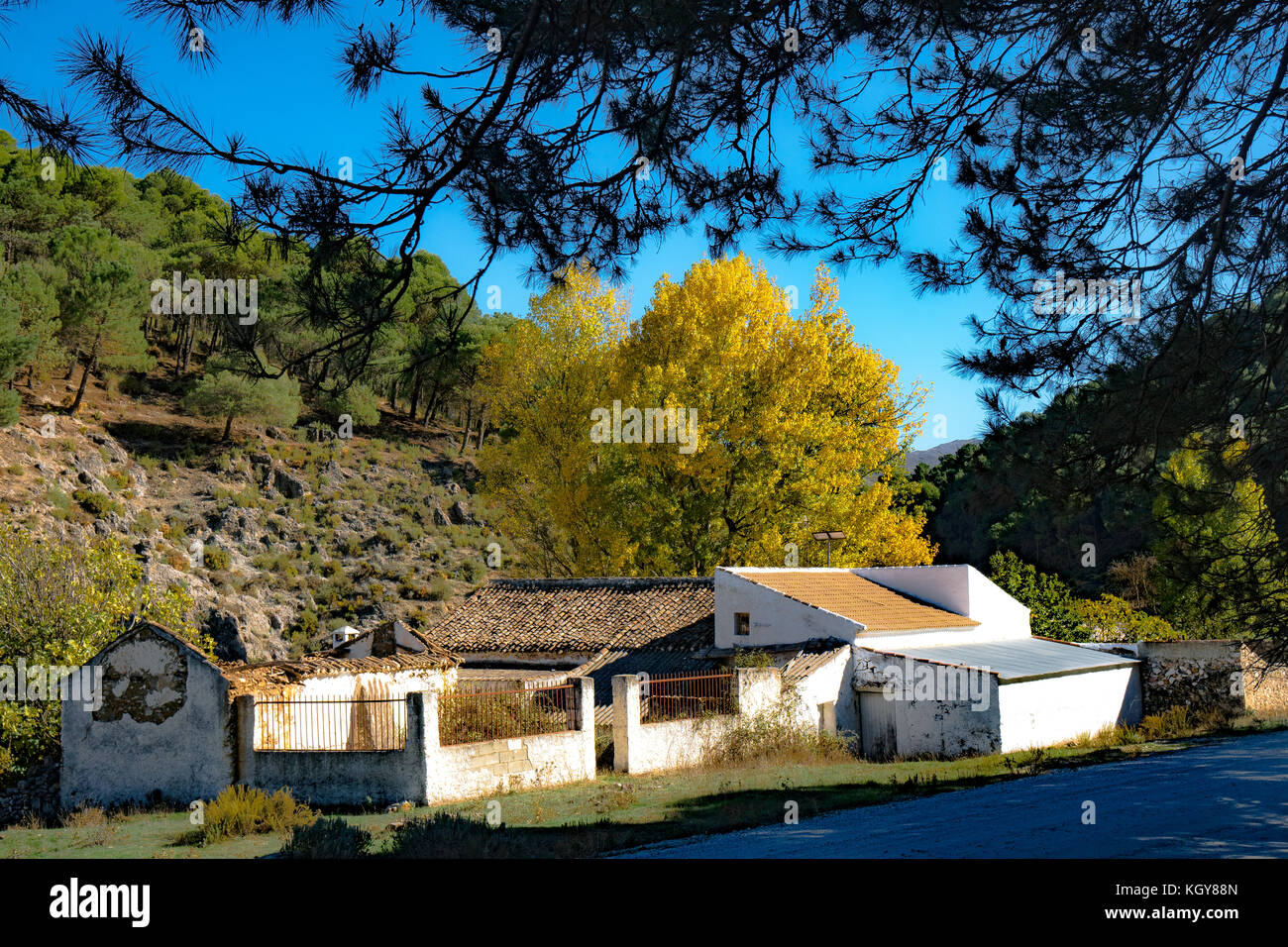rural autumn farmhouse Stock Photo - Alamy