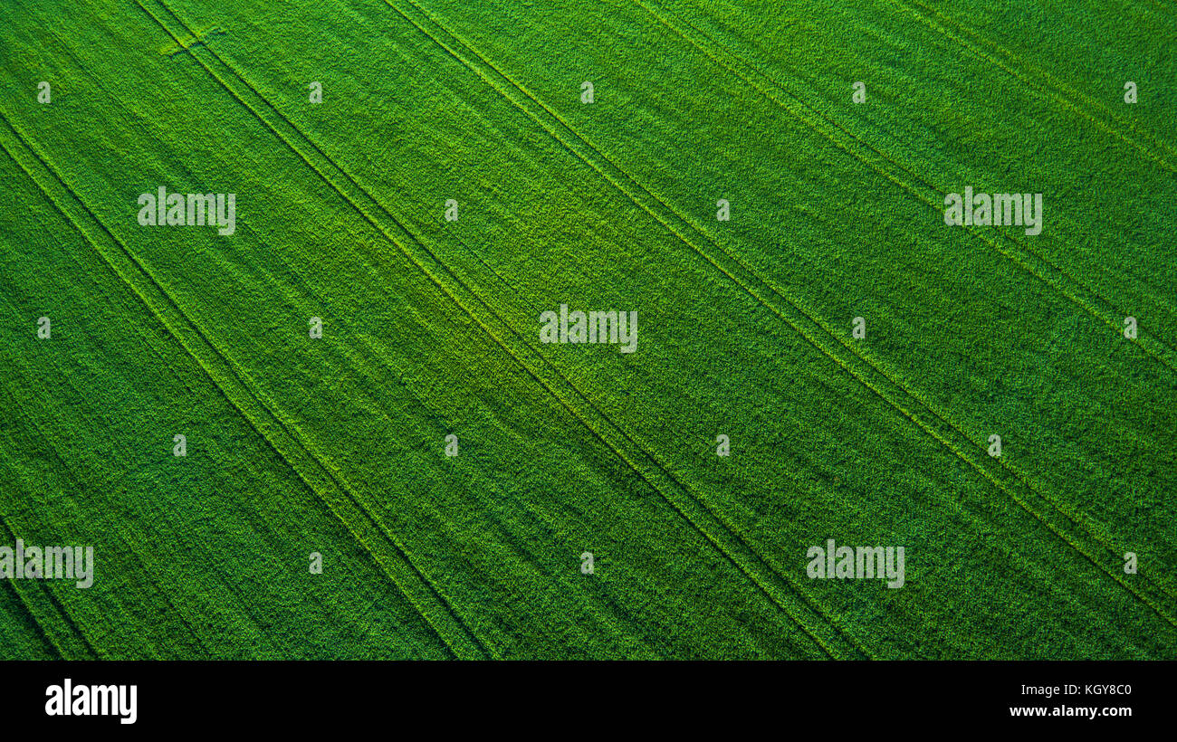 Flight over green grass aerial hi-res stock photography and images - Alamy
