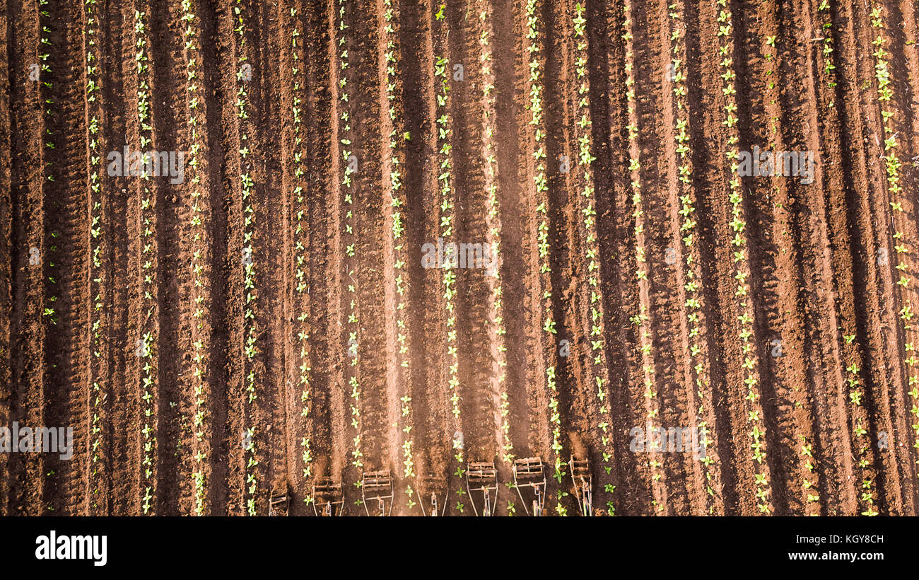 Tractor cultivating field at spring,aerial view Stock Photo - Alamy