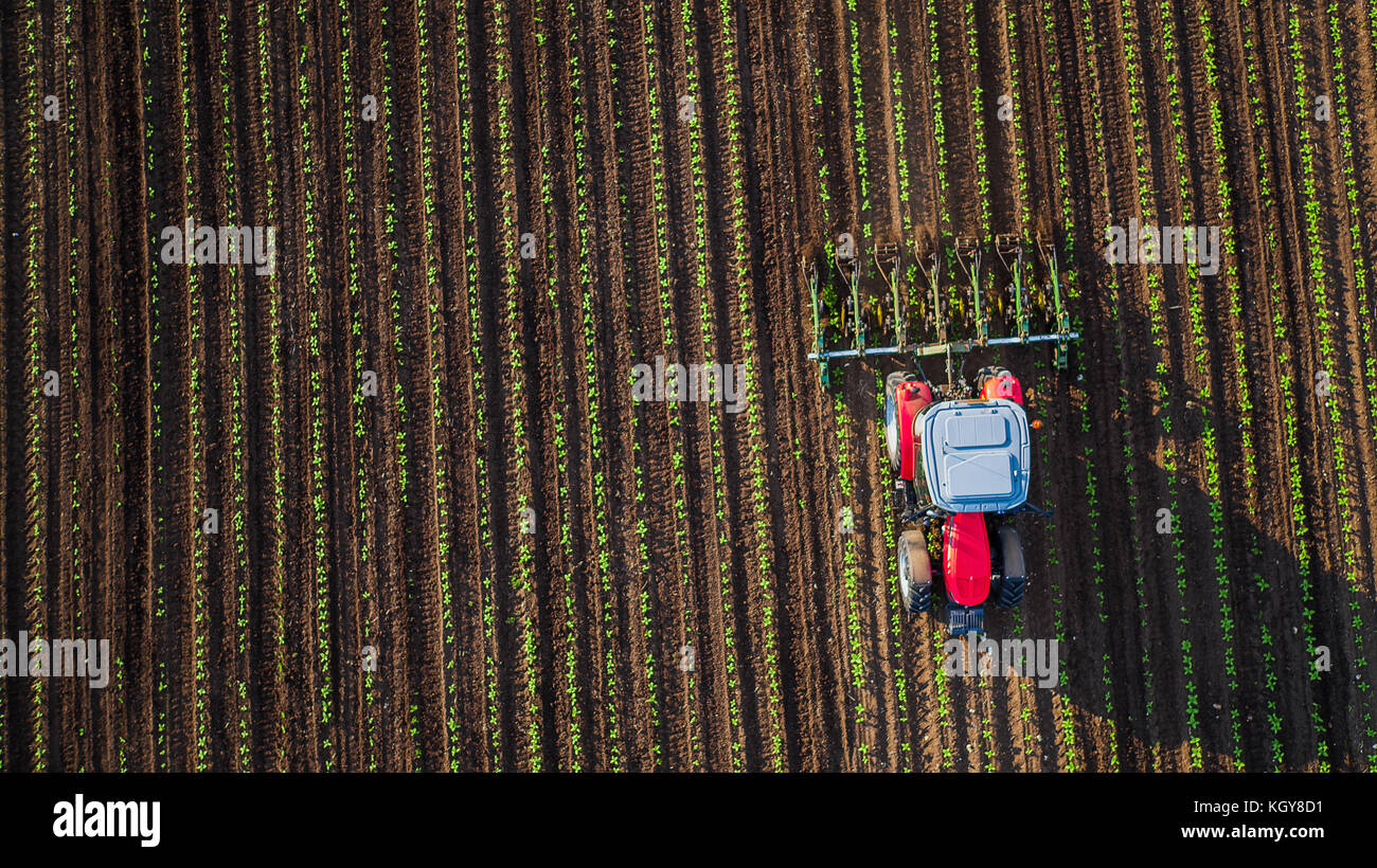 Tractor cultivating field at spring,aerial view Stock Photo - Alamy