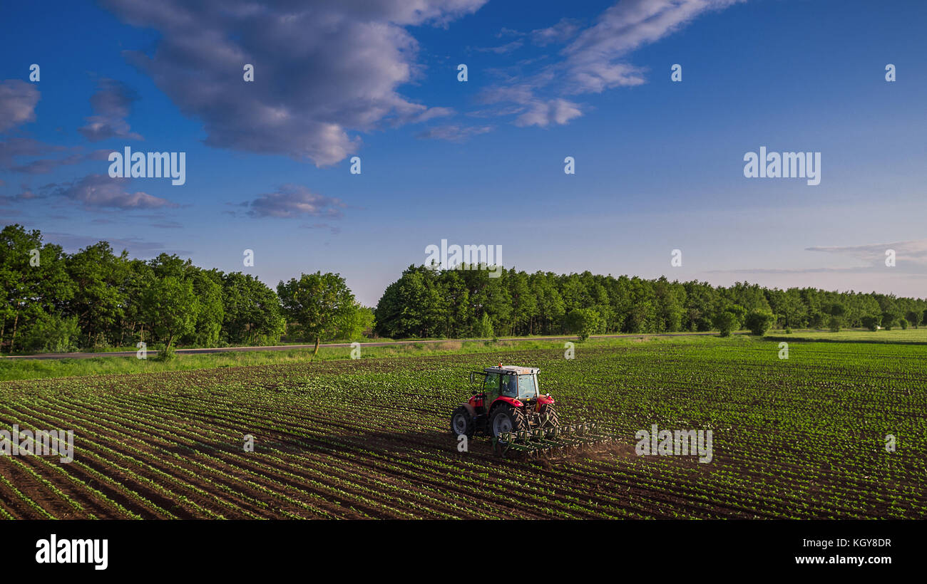 Tractor cultivating field at spring,aerial view Stock Photo - Alamy
