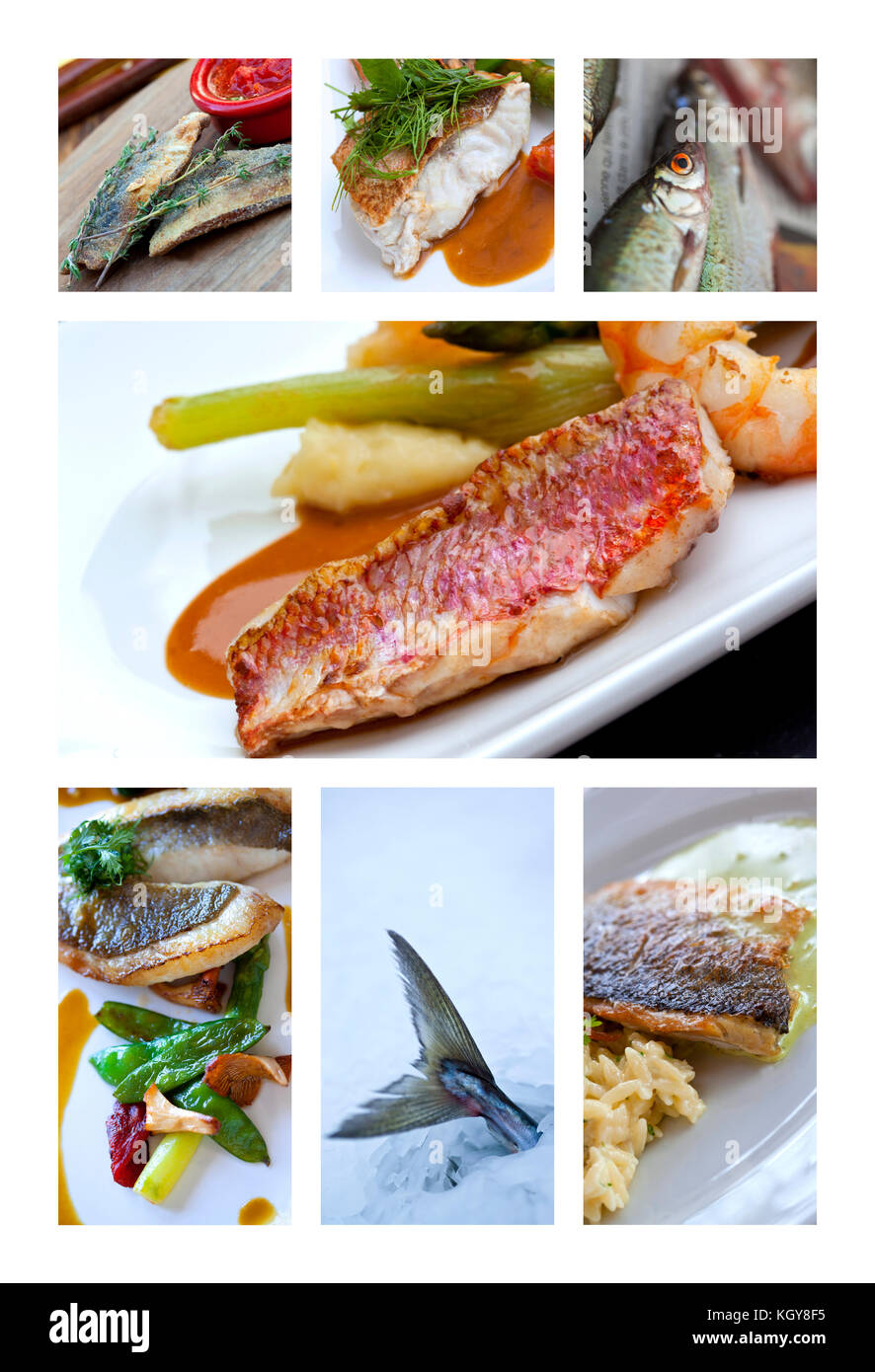 Various fish dishes and meals on a collage Stock Photo - Alamy
