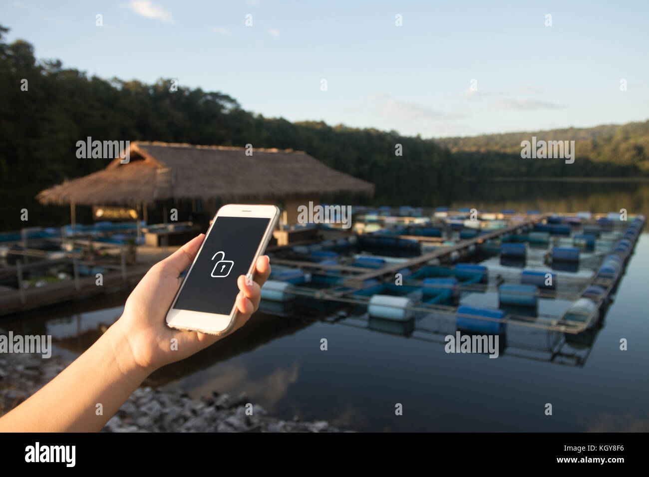 Unlock smart phone on hand. nature background, technology Stock Photo ...