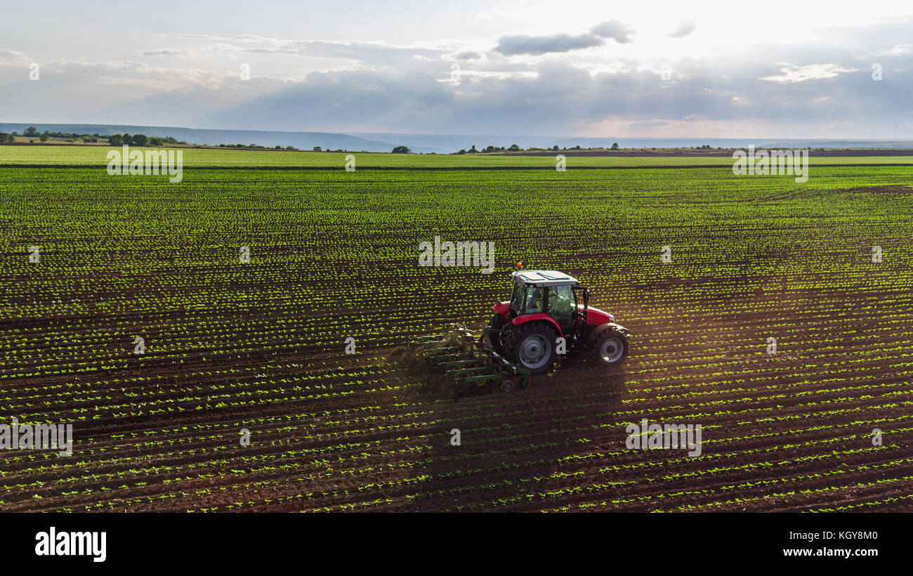 Tractor cultivating field at spring,aerial view Stock Photo - Alamy