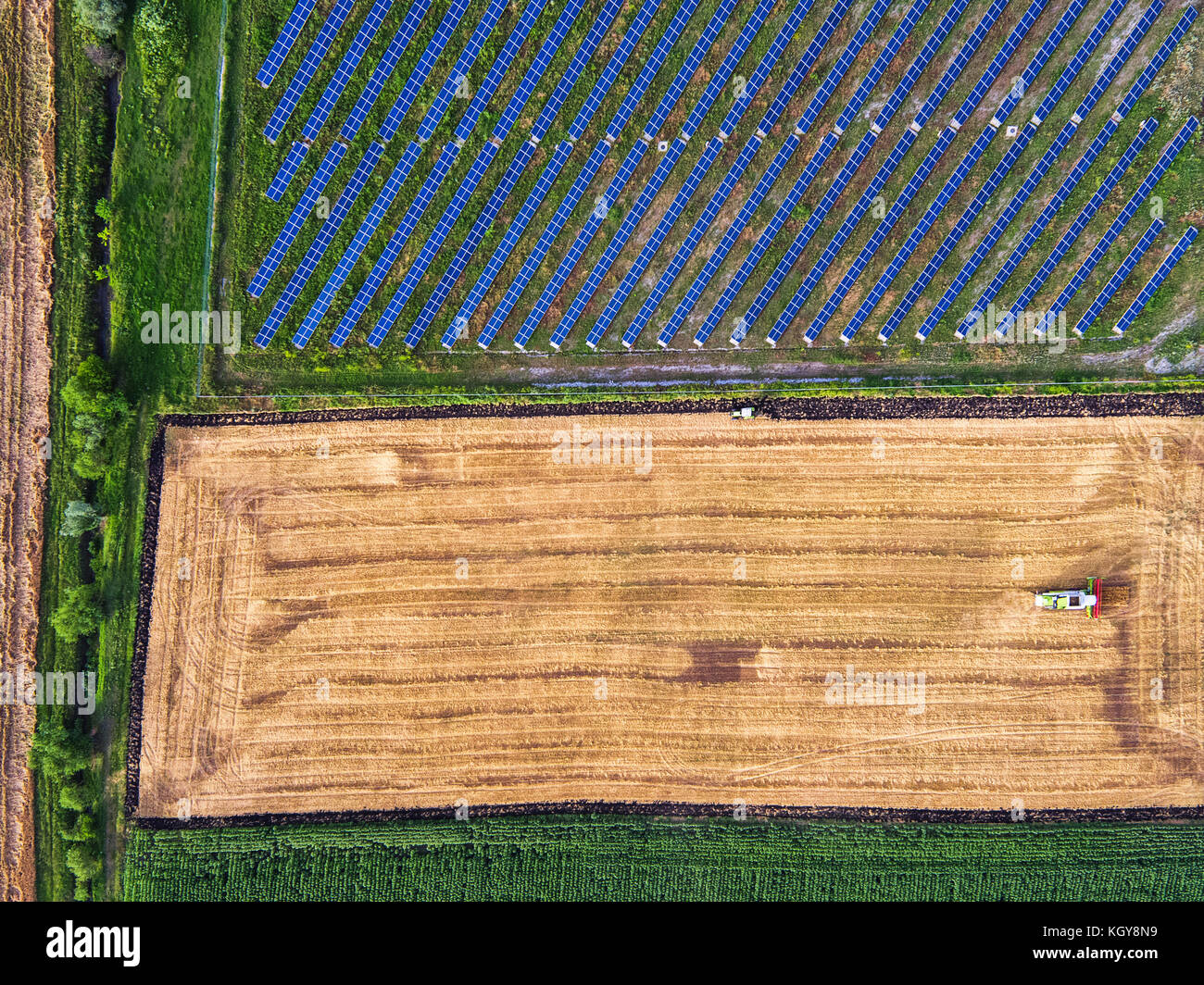 Environmental field work hi-res stock photography and images - Alamy