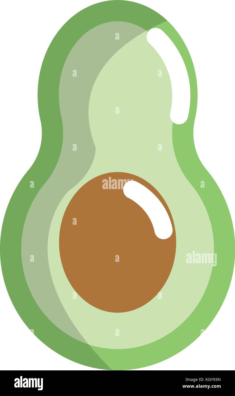 Isolated avocado design Stock Vector Image & Art - Alamy