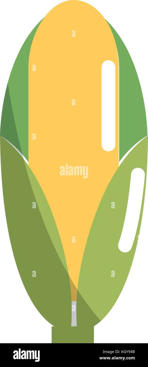 Isolated corn design Stock Vector Image & Art - Alamy