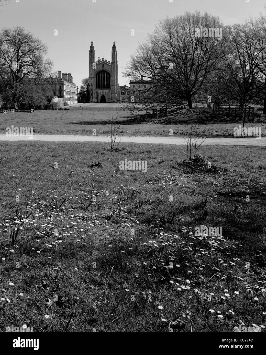 Cambridge Backs Stock Photos & Cambridge Backs Stock Images - Alamy