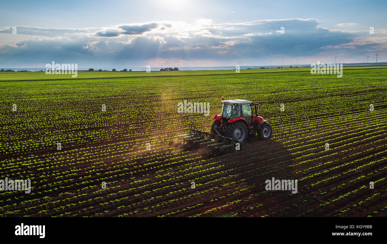 Tractor cultivating field at spring,aerial view Stock Photo - Alamy