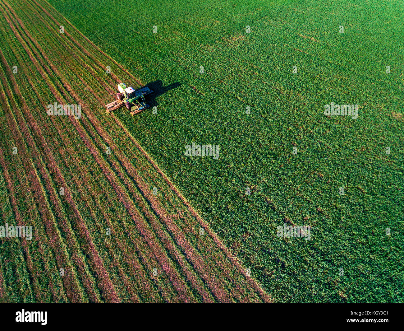 Tractor mowing green field and bkue sky with clouds Stock Photo - Alamy