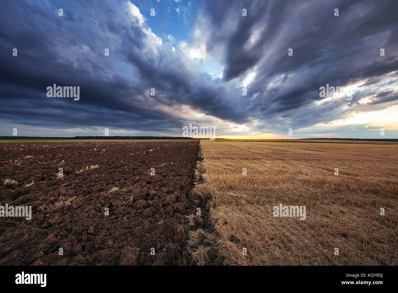 Dramatic clouds over the field after harvest, sunset shot Stock Photo ...