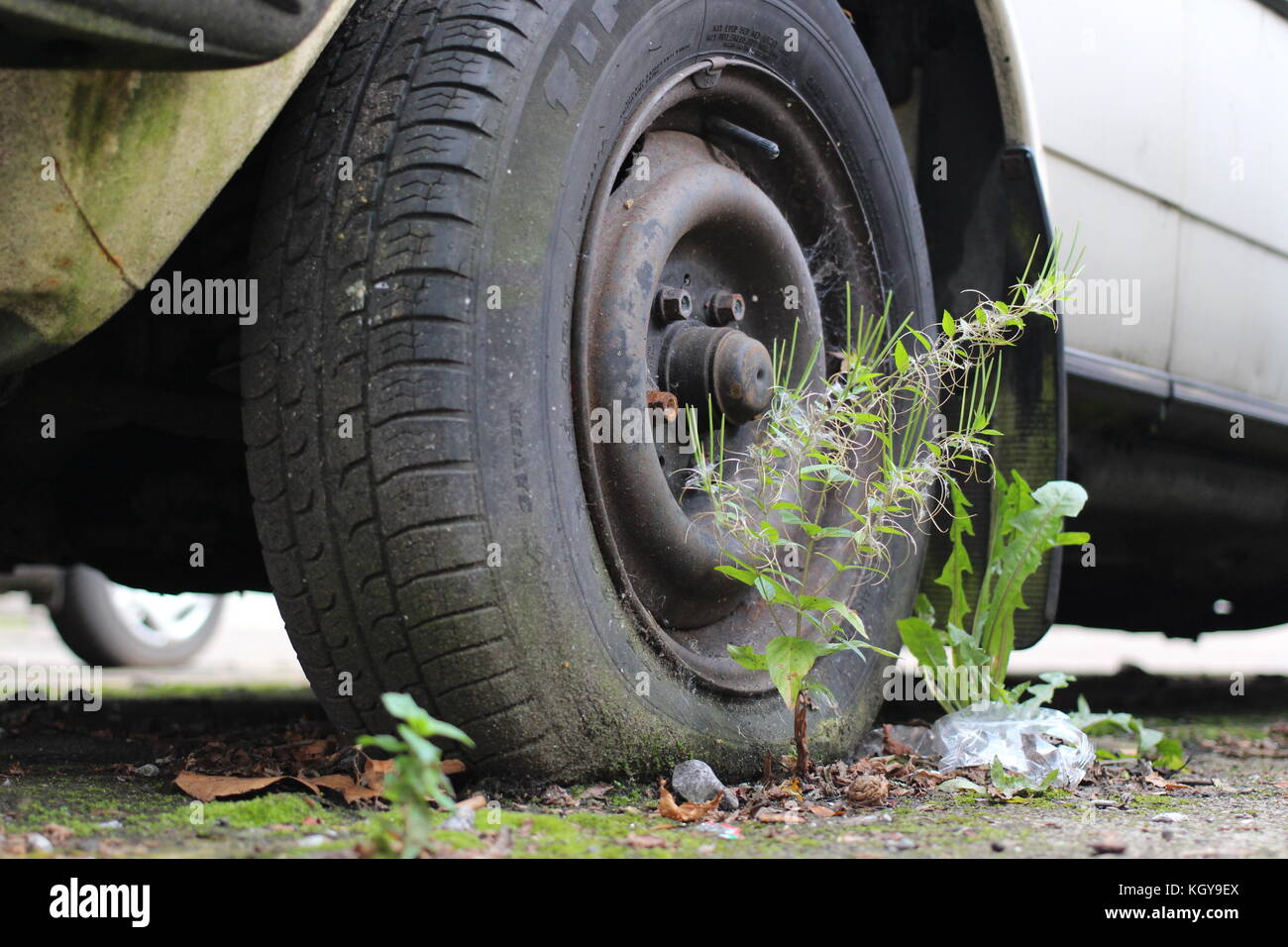abandoned old mercedes car ratty and rusty Stock Photo - Alamy