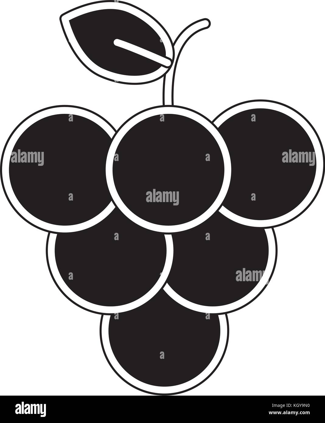 Isolated grapes design Stock Vector Image & Art - Alamy