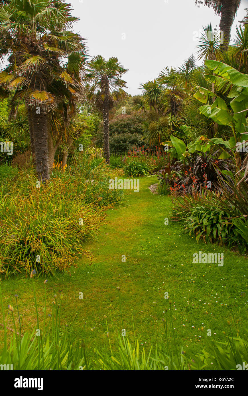 Botanical Gardens showing displays of growth and colour Stock Photo - Alamy