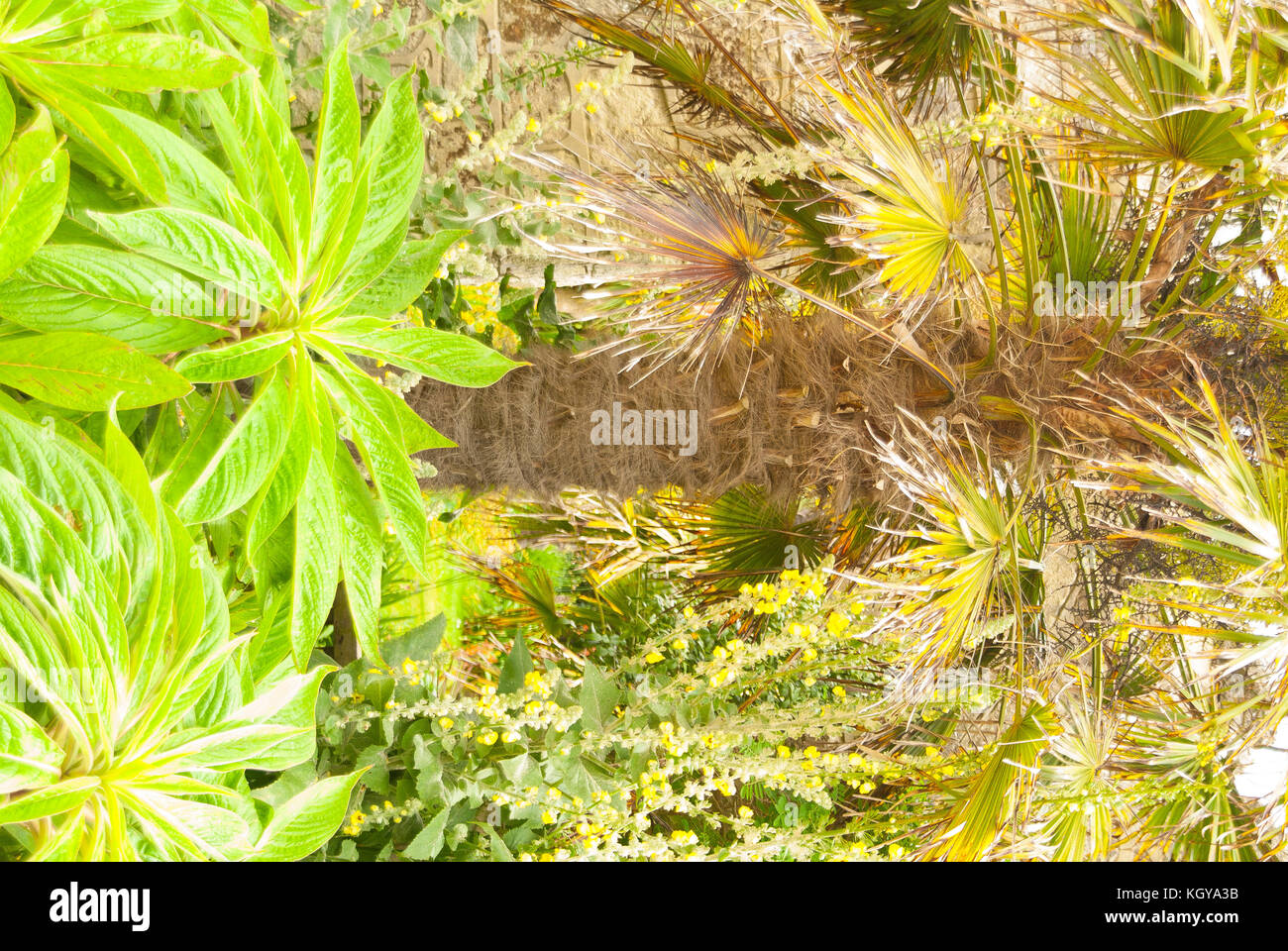 Botanical Gardens showing displays of growth and colour Stock Photo - Alamy