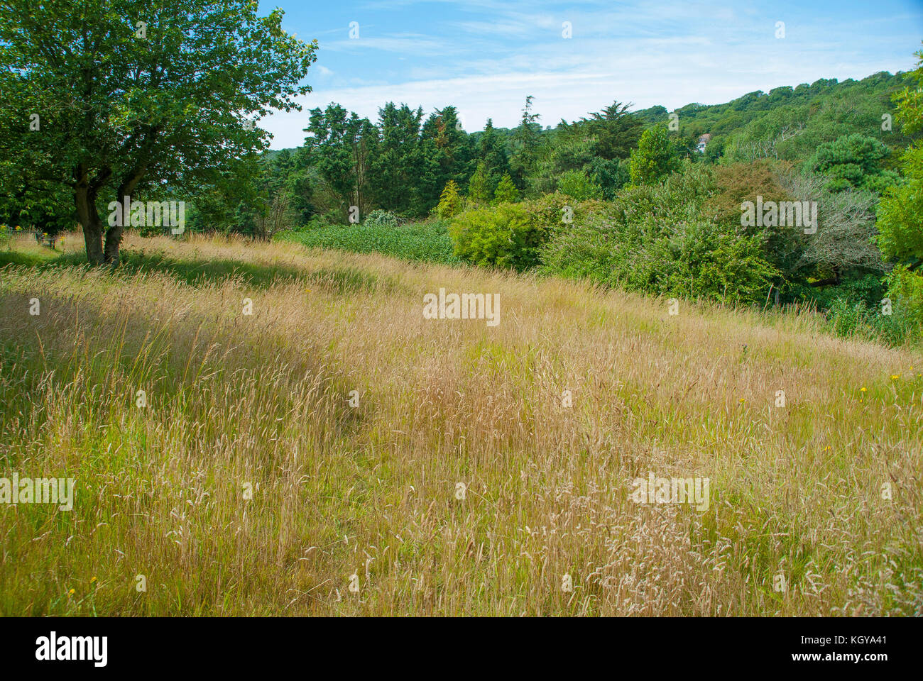 Botanical Gardens showing displays of growth and colour Stock Photo - Alamy