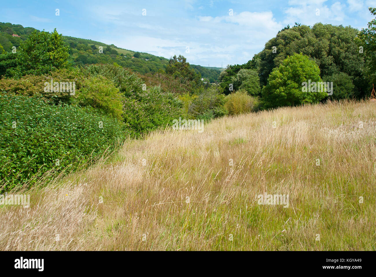 Botanical Gardens showing displays of growth and colour Stock Photo - Alamy