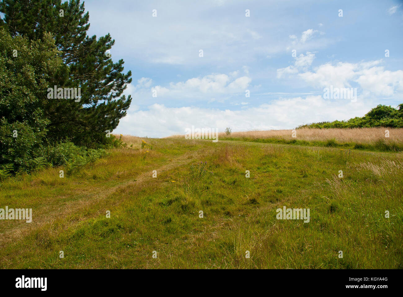 Botanical Gardens showing displays of growth and colour Stock Photo - Alamy