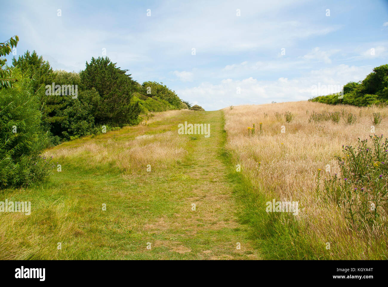 Botanical Gardens showing displays of growth and colour Stock Photo - Alamy