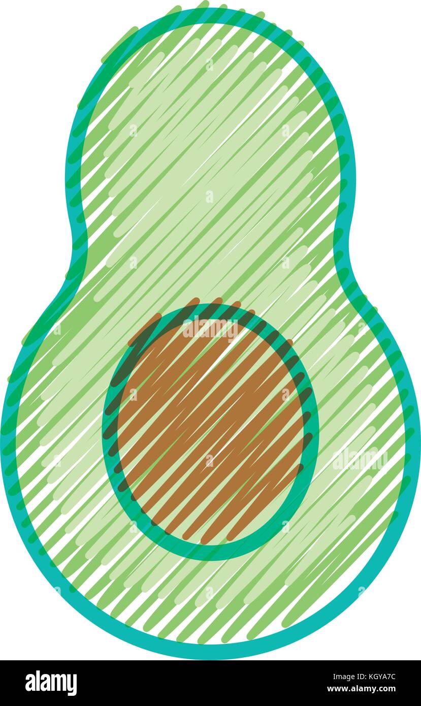 Isolated avocado design Stock Vector Image & Art - Alamy