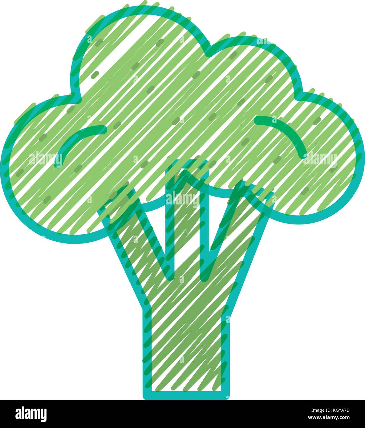 Isolated broccoli design Stock Vector Image & Art - Alamy