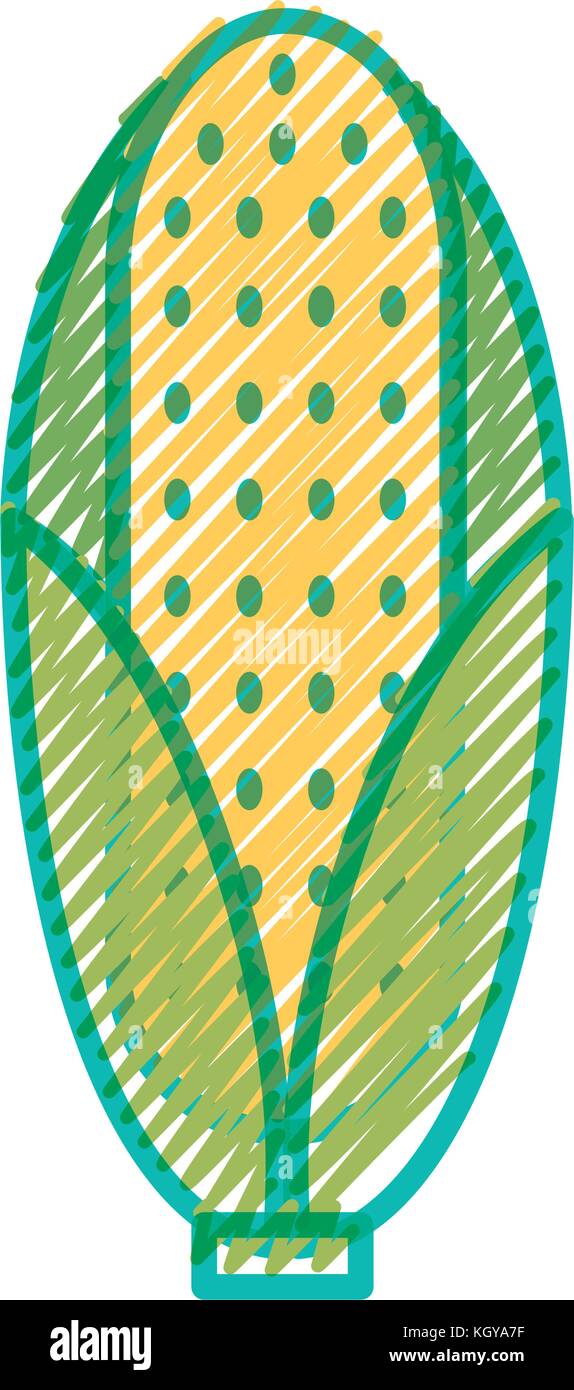Isolated corn design Stock Vector Image & Art - Alamy