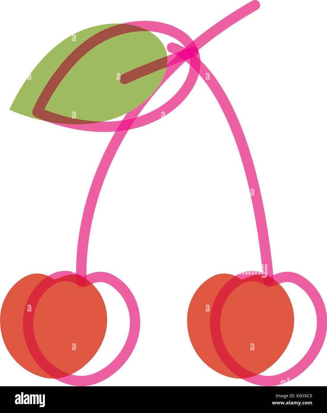 Isolated cherry design Stock Vector Image & Art - Alamy