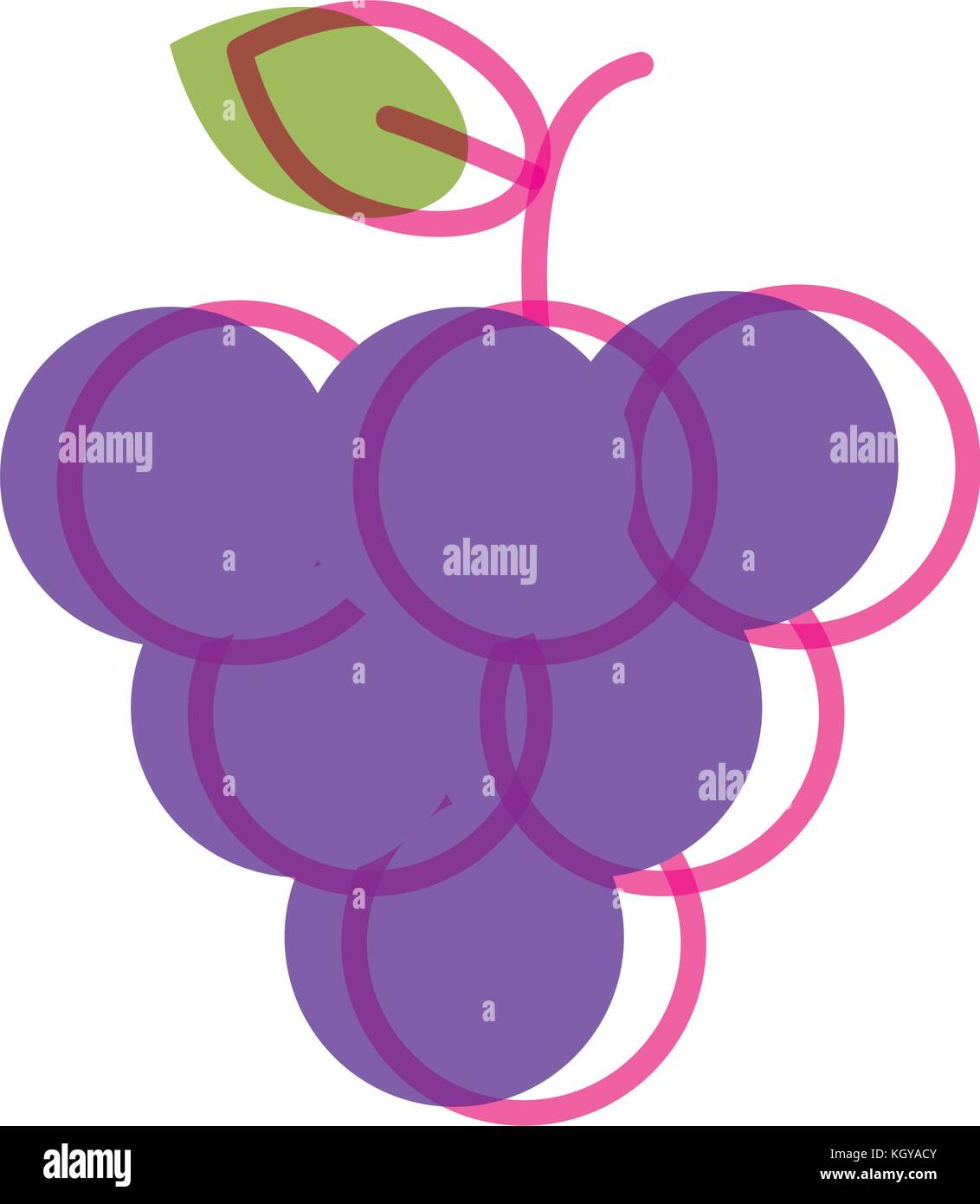 Isolated grapes design Stock Vector Image & Art - Alamy