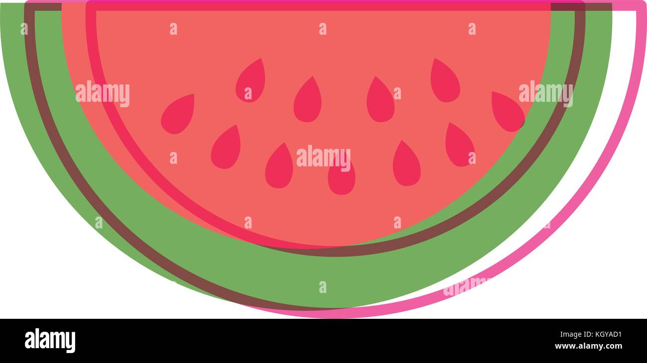 Isolated watermelon design Stock Vector Image & Art - Alamy