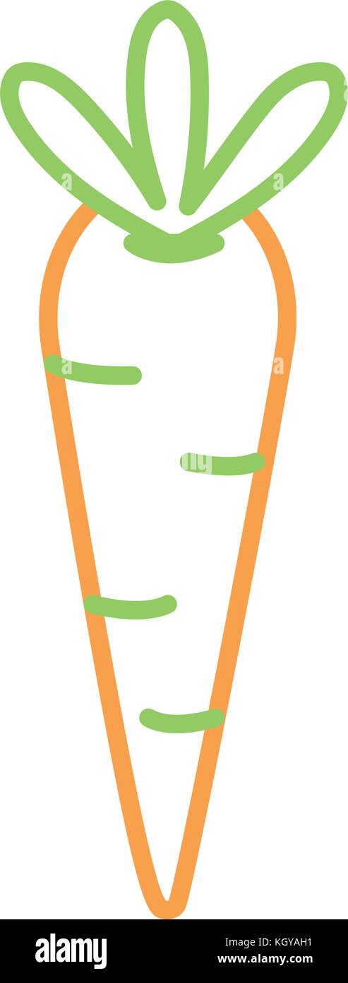 Isolated carrot design Stock Vector Image & Art - Alamy